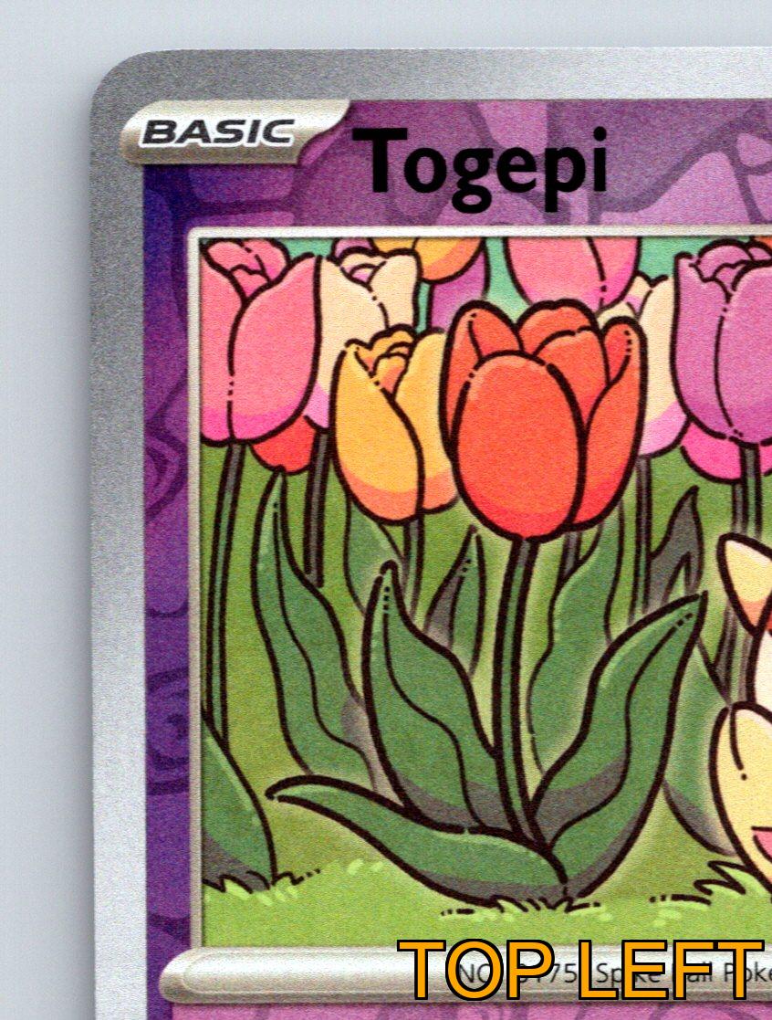 togepi pattern stencil