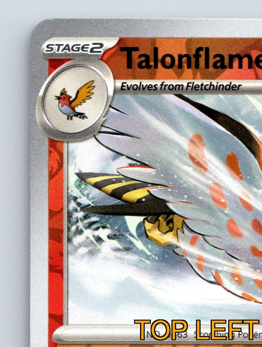 talonflame bst
