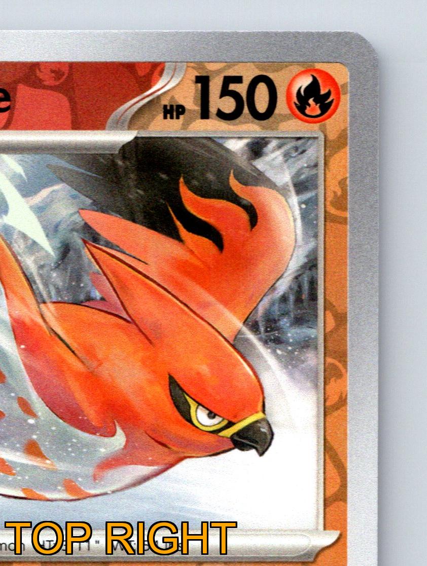 talonflame bst