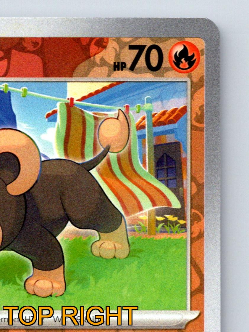 litleo pokemon database