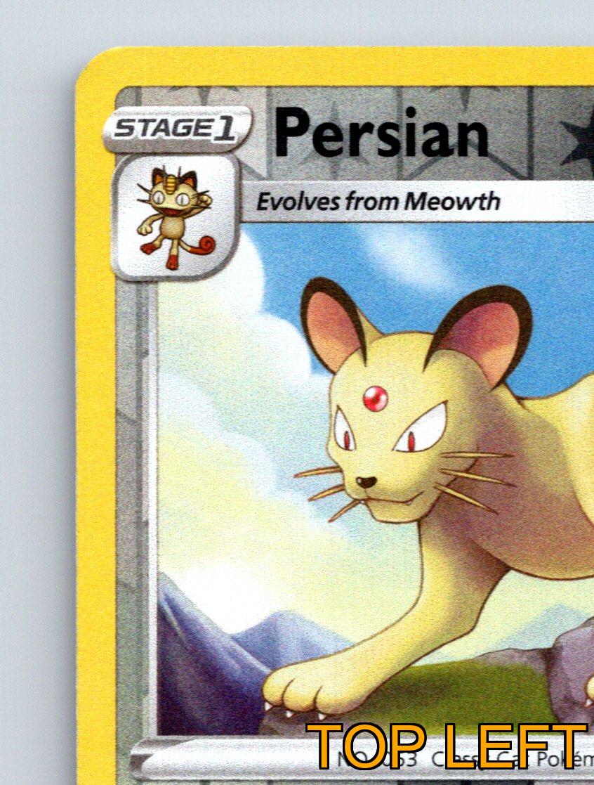 persian evolution chart