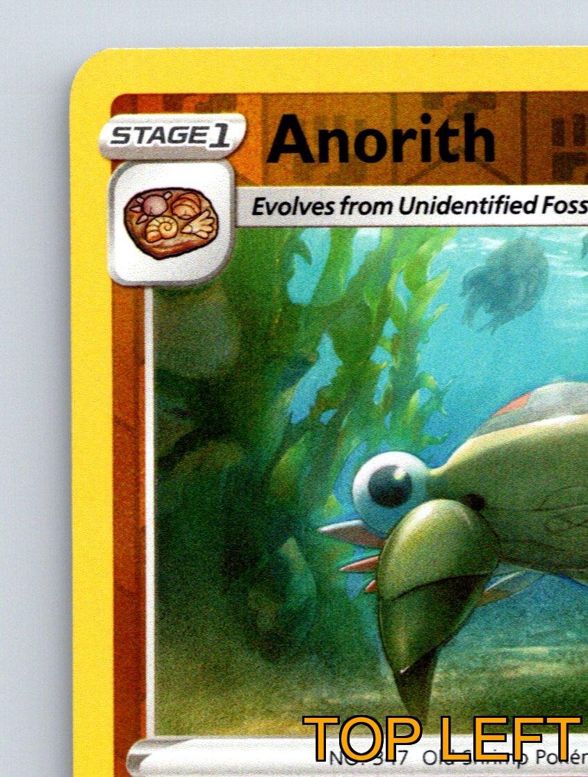 anorith evolution brick bronze