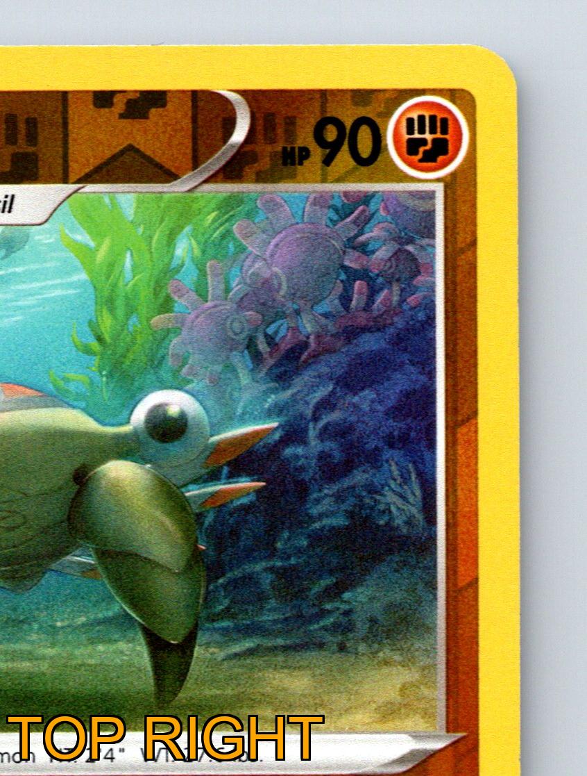 anorith evolution brick bronze