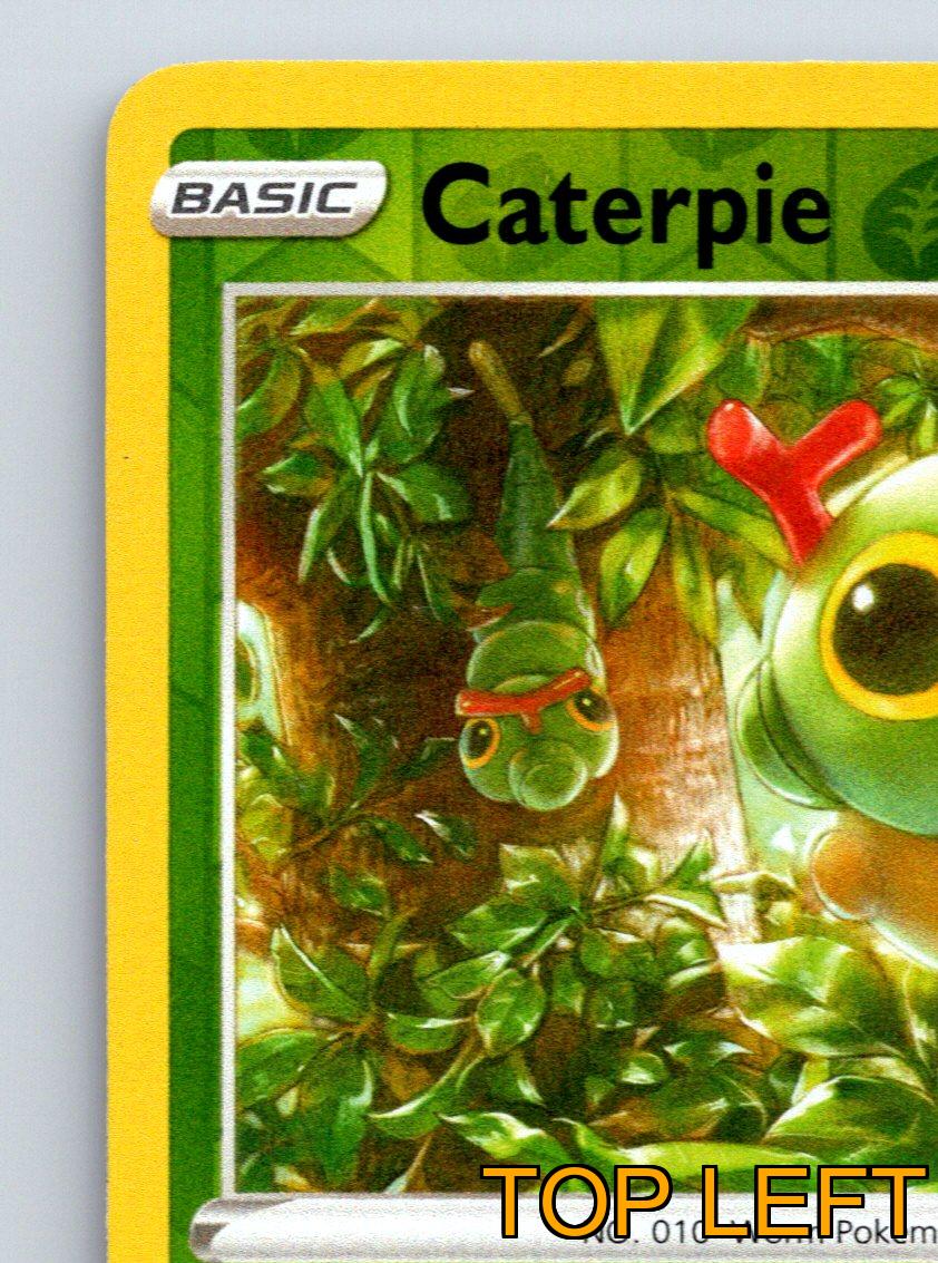 caterpie roxo pixelmon