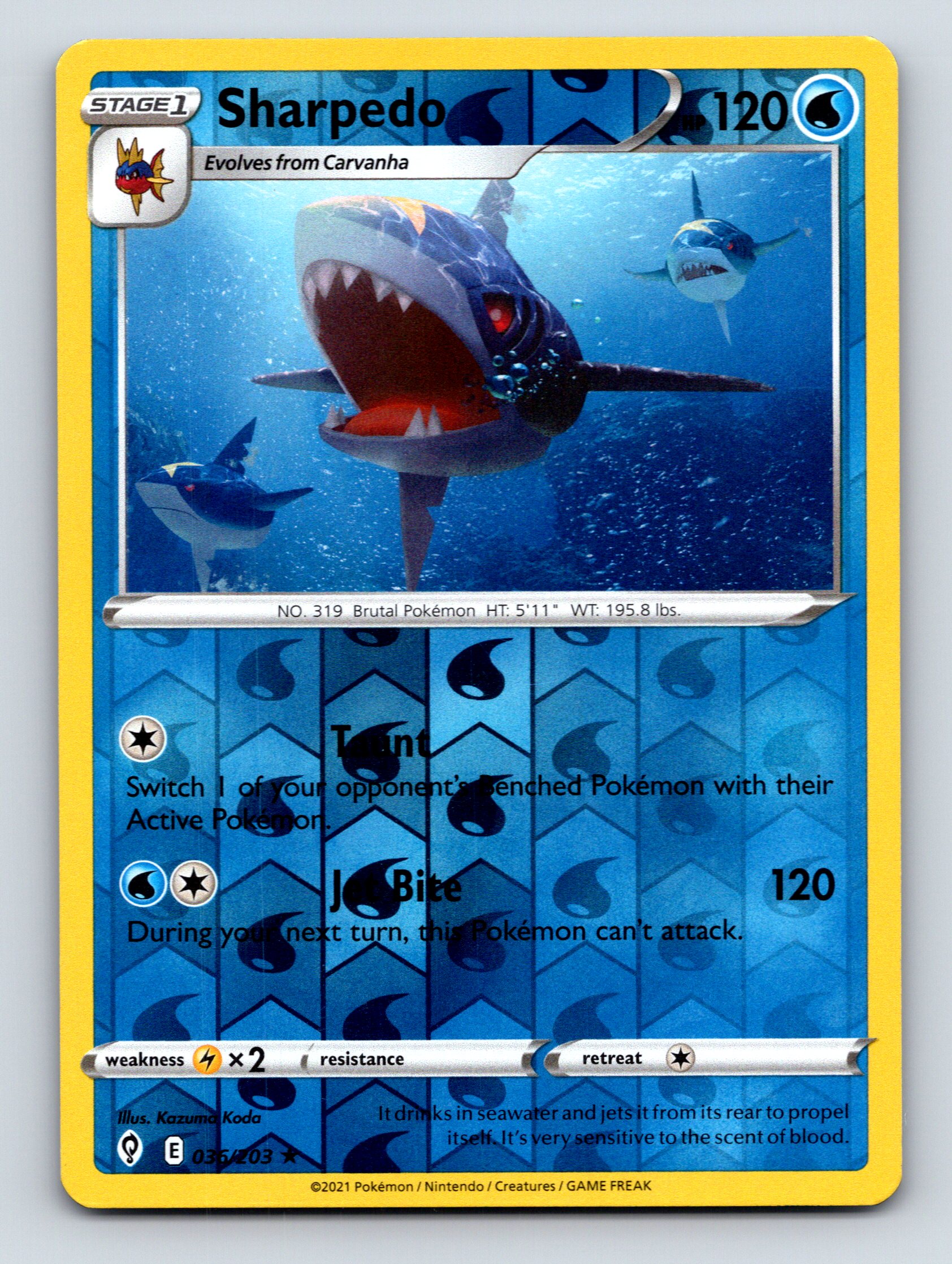 sharpedo attack