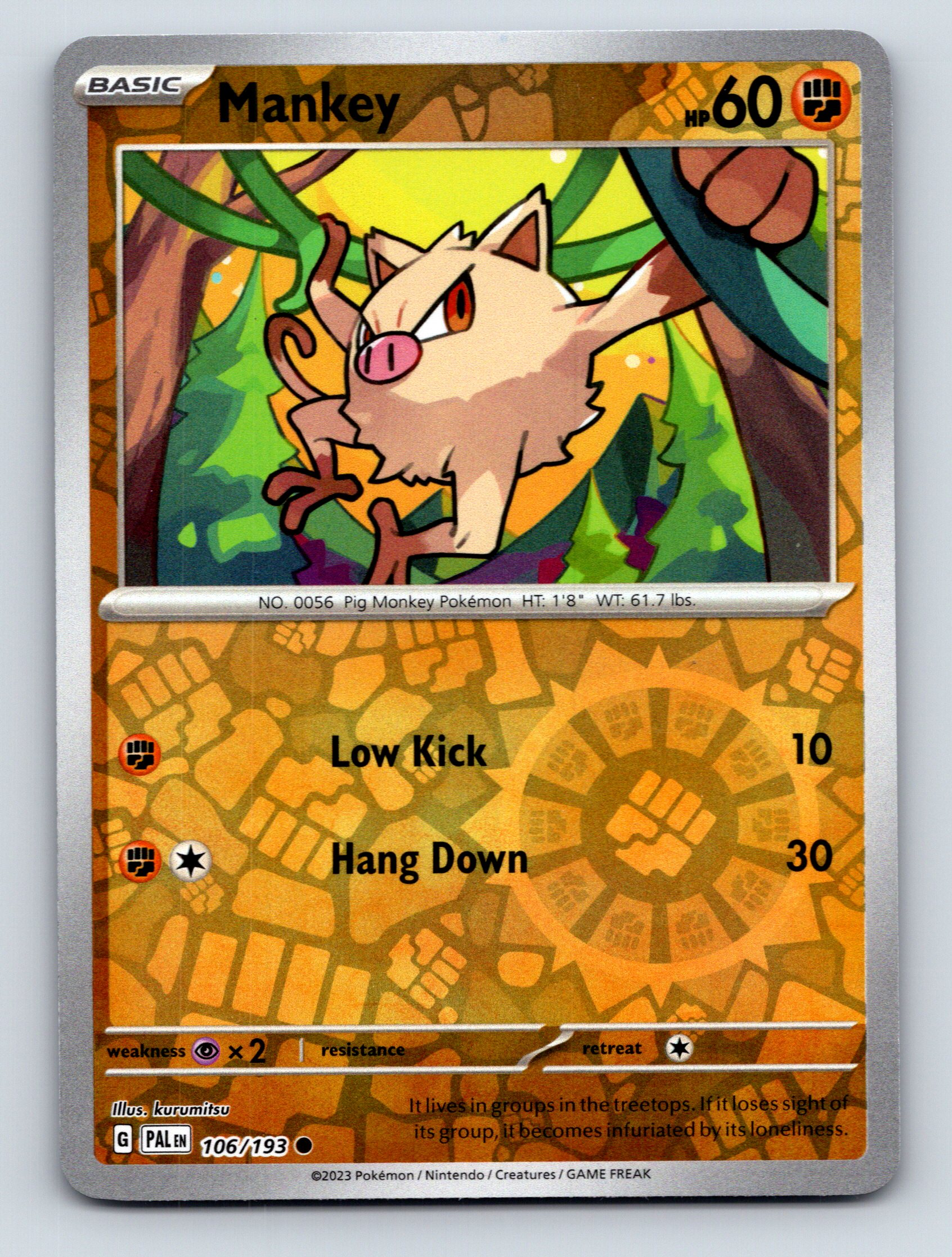 pokemon fighting monkey