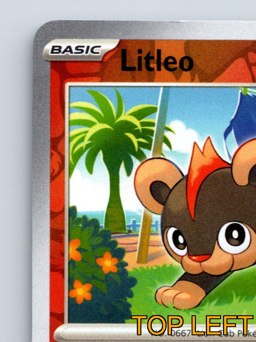 litleo pokemon database