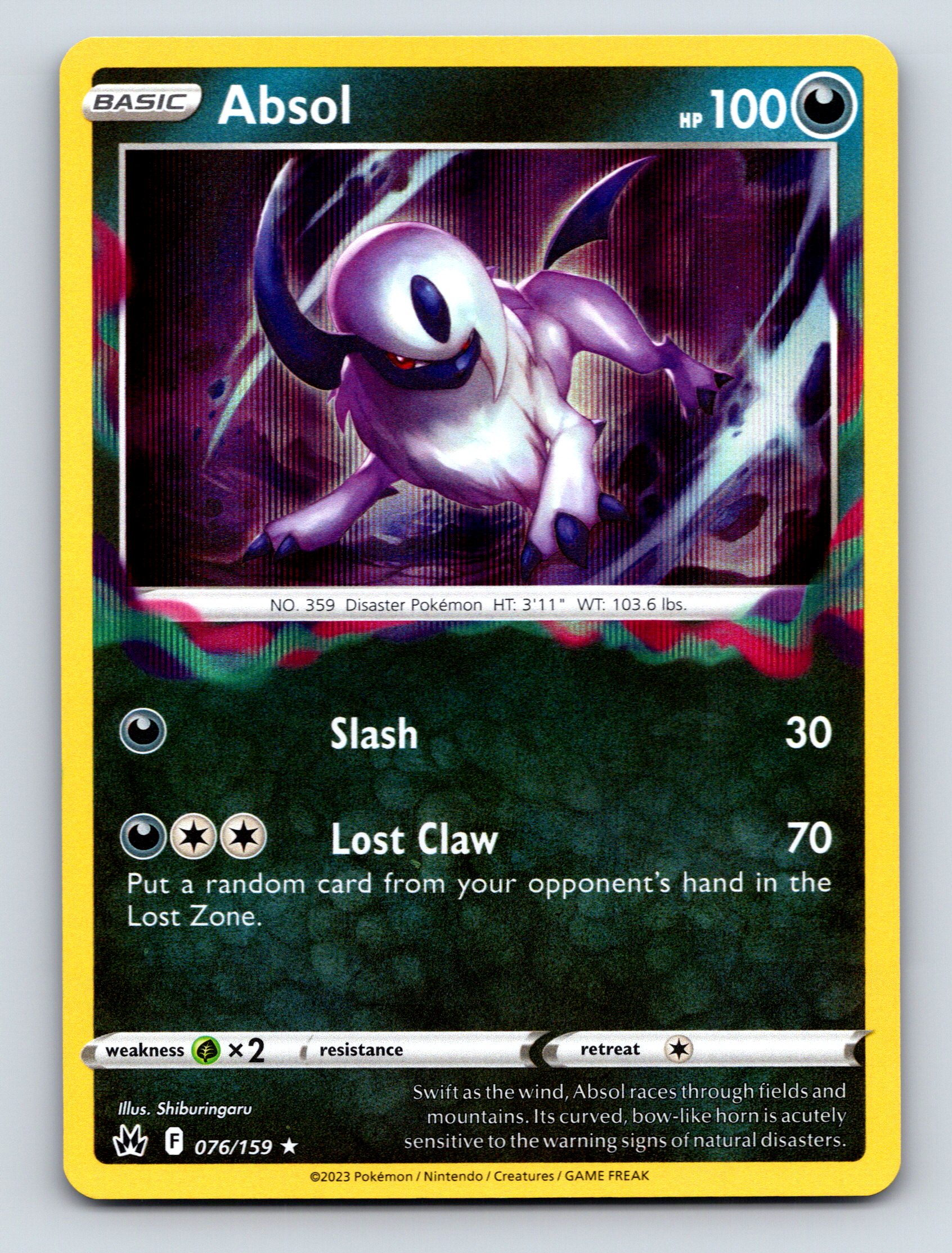 absol card