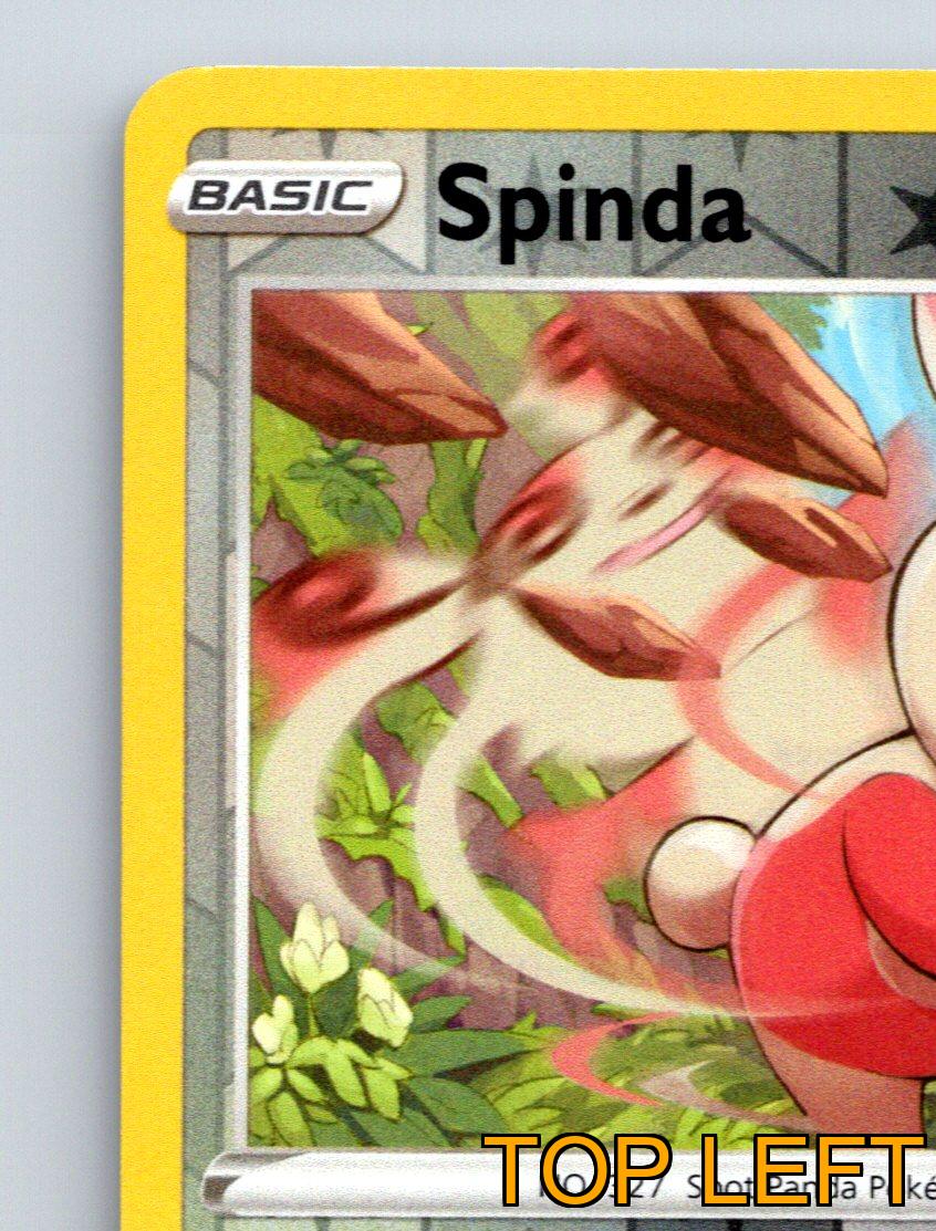 spinda back sprite