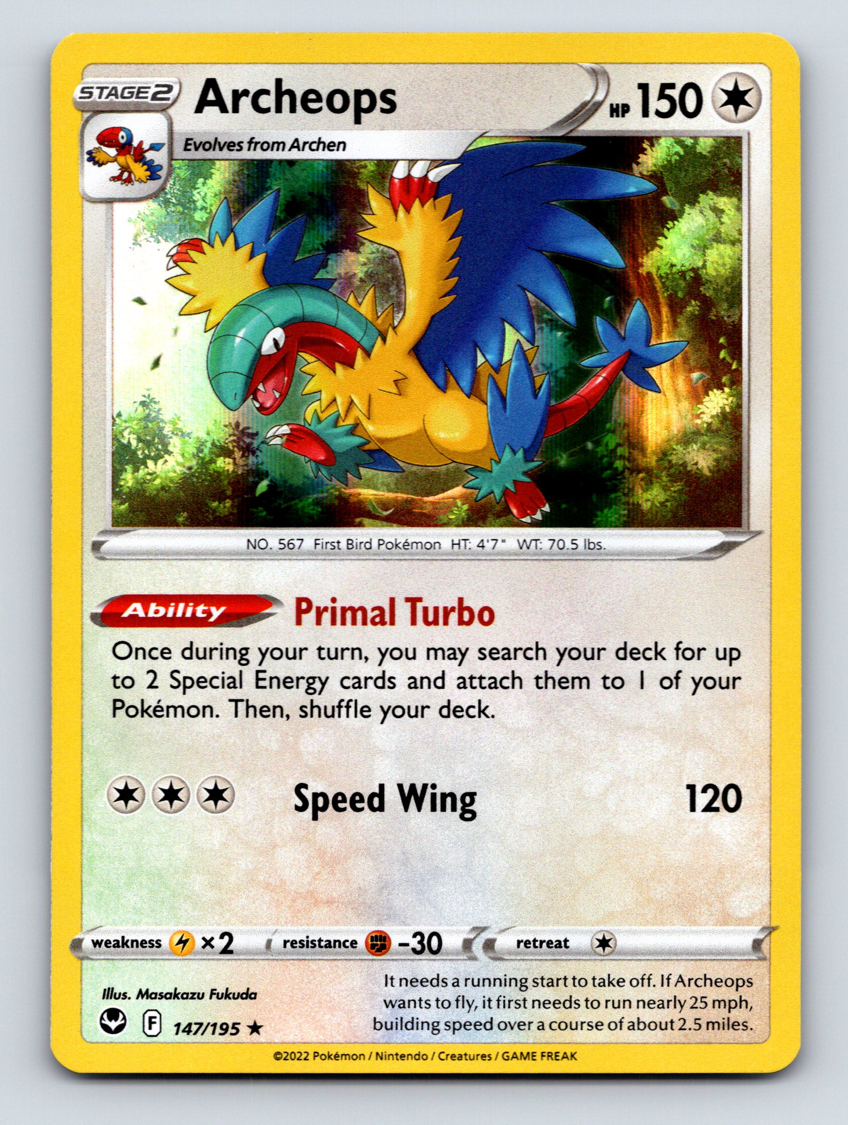 can archeops learn fly