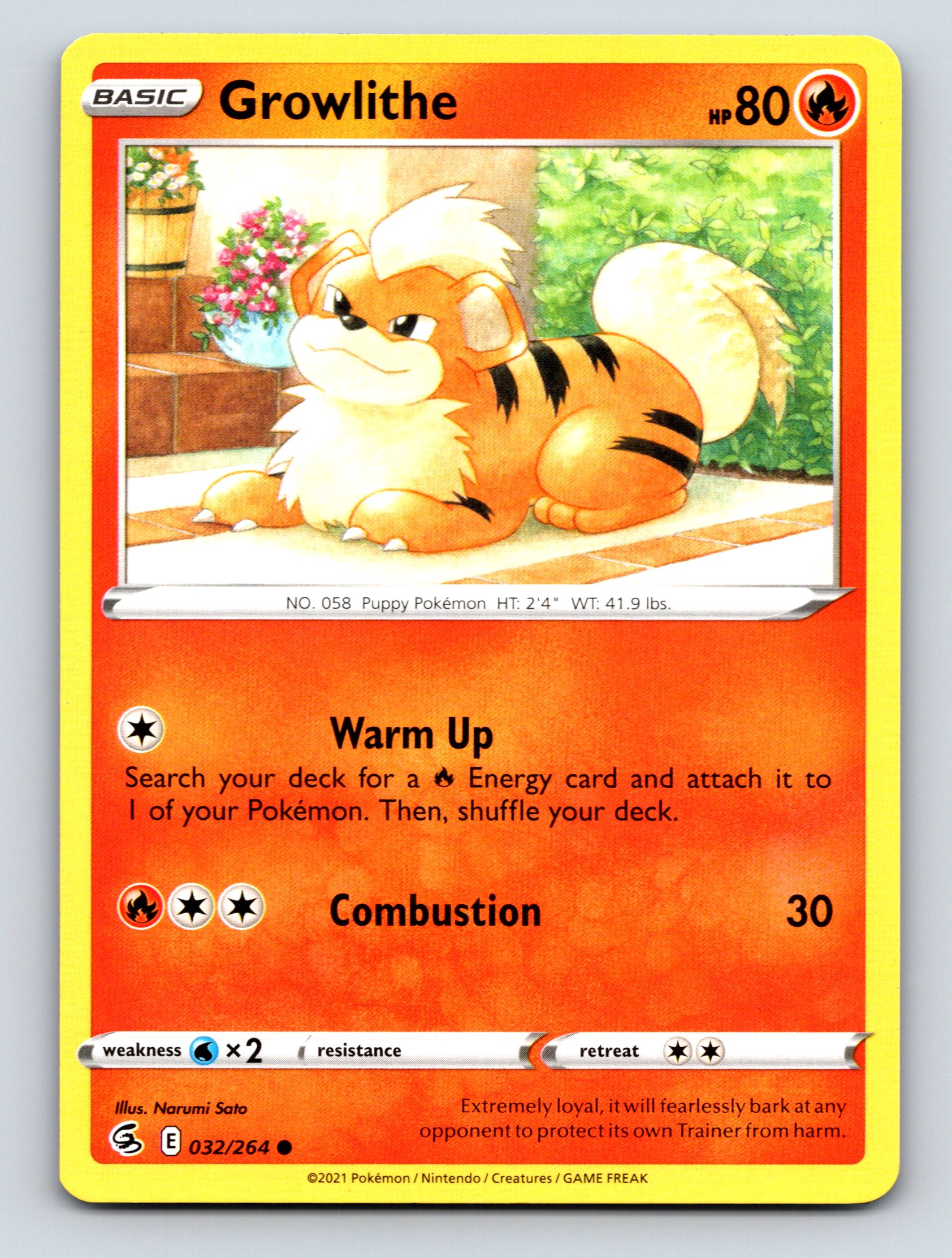 Basic Growlithe HP 80 Combustion Attack Loyal Pokémon Fiery Colors | eBay