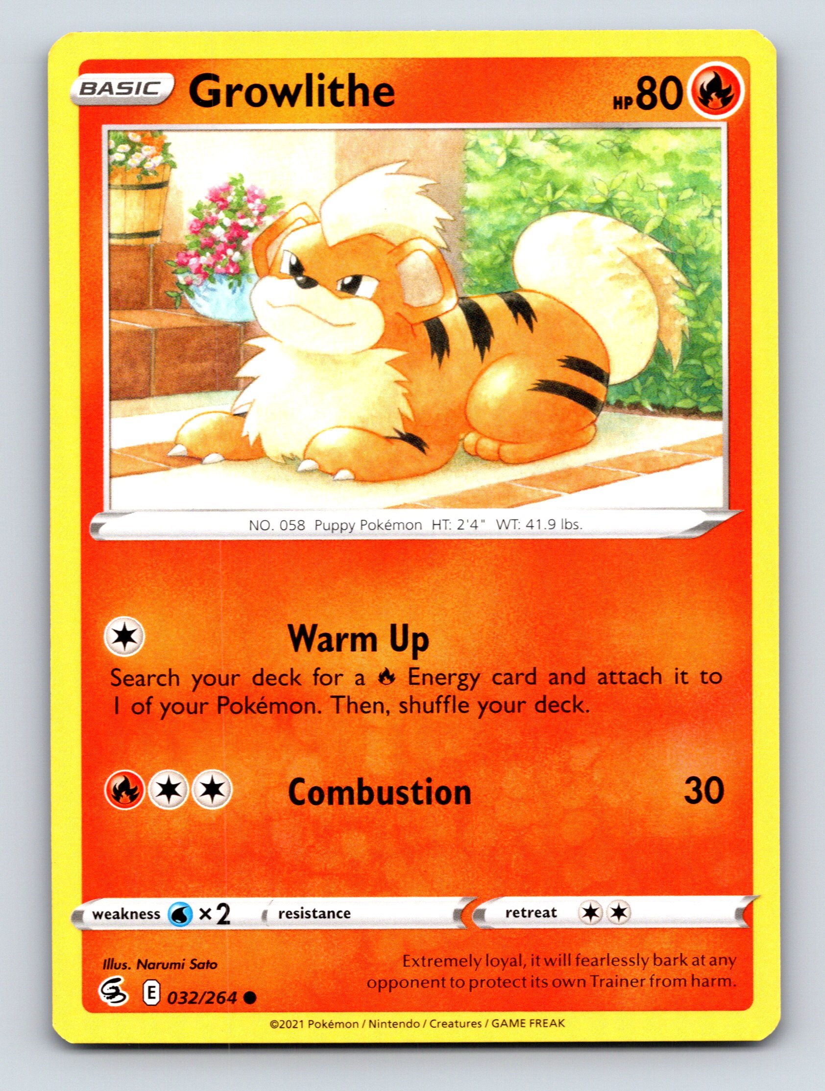 Basic Growlithe HP 80 Combustion Attack Rarity Orange Pokémon Card | eBay