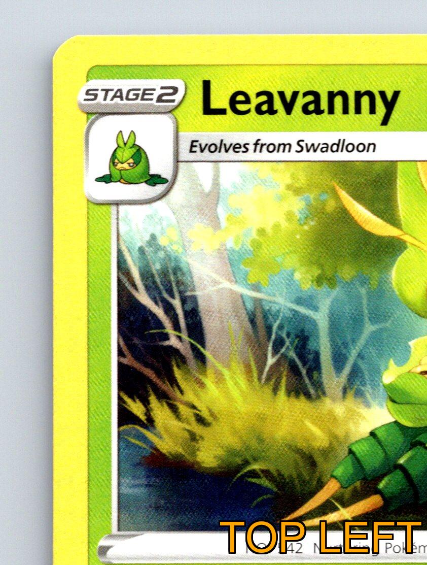 leavanny evolution black 2