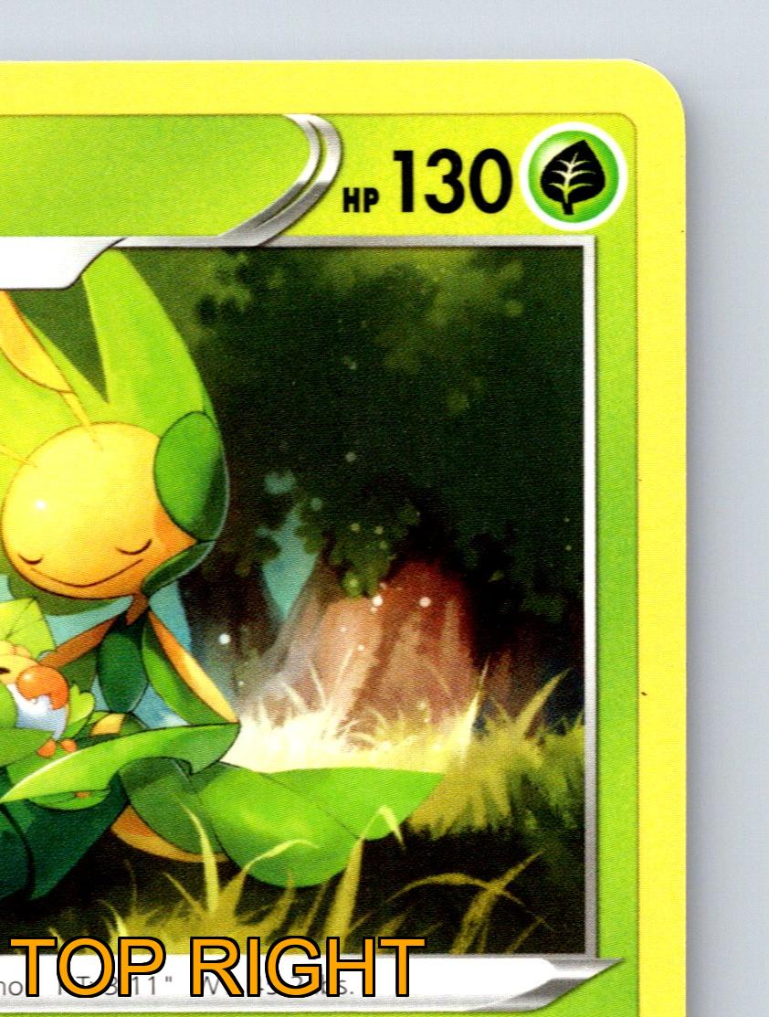 leavanny evolution black 2