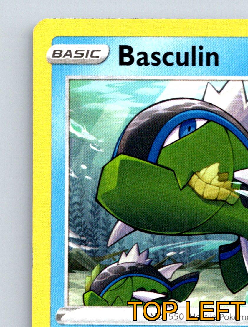 basculin db