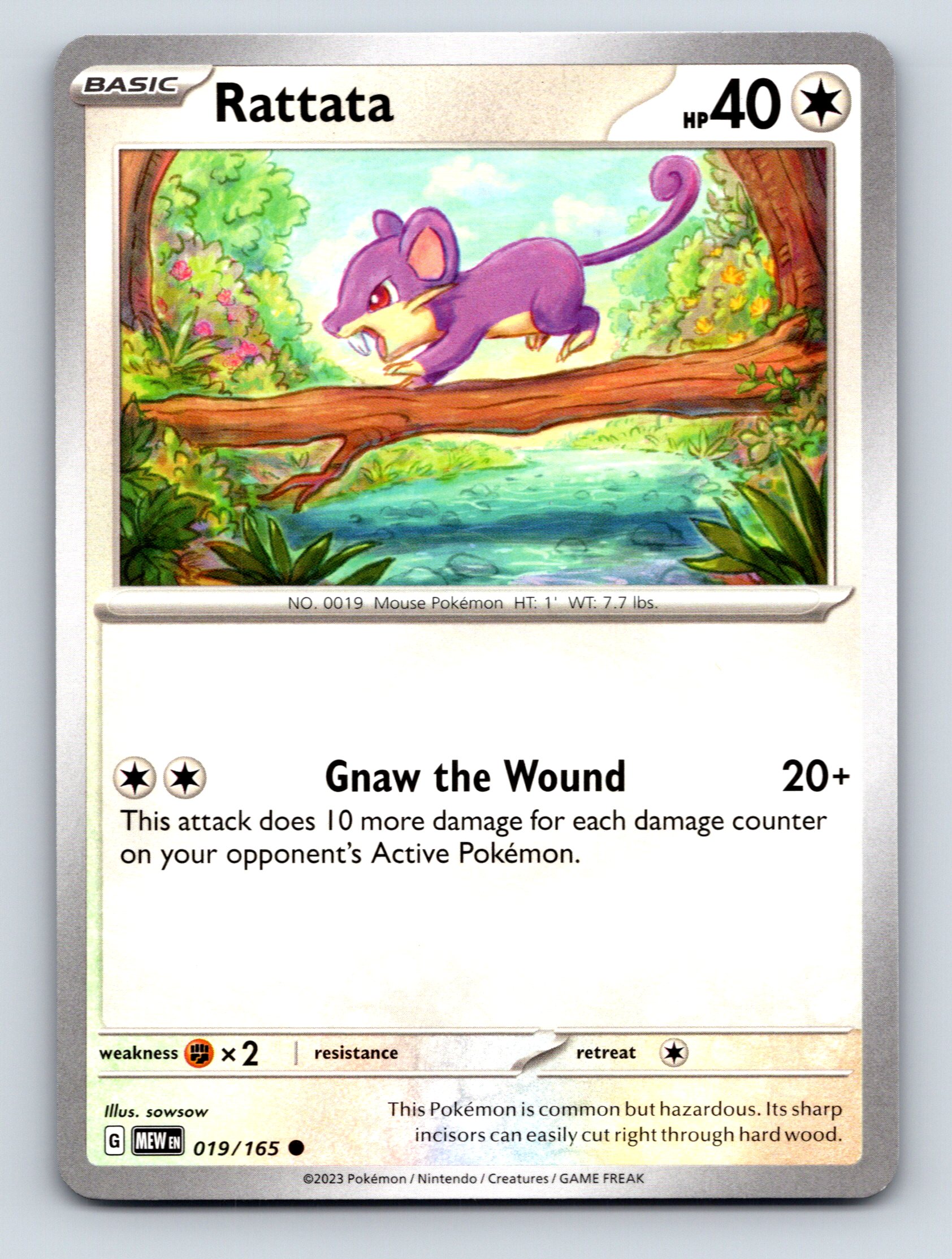 Basic Rattata HP 40 Gnaw The Wound Attack Rarity White Pokémon Card | eBay