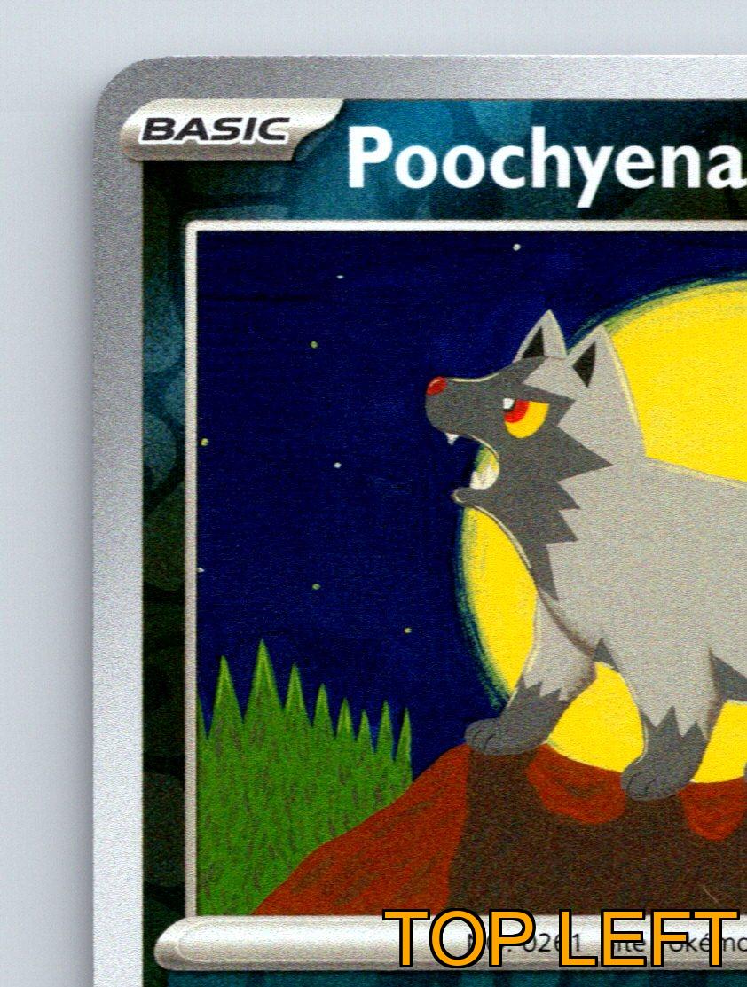 poochyena evolution card
