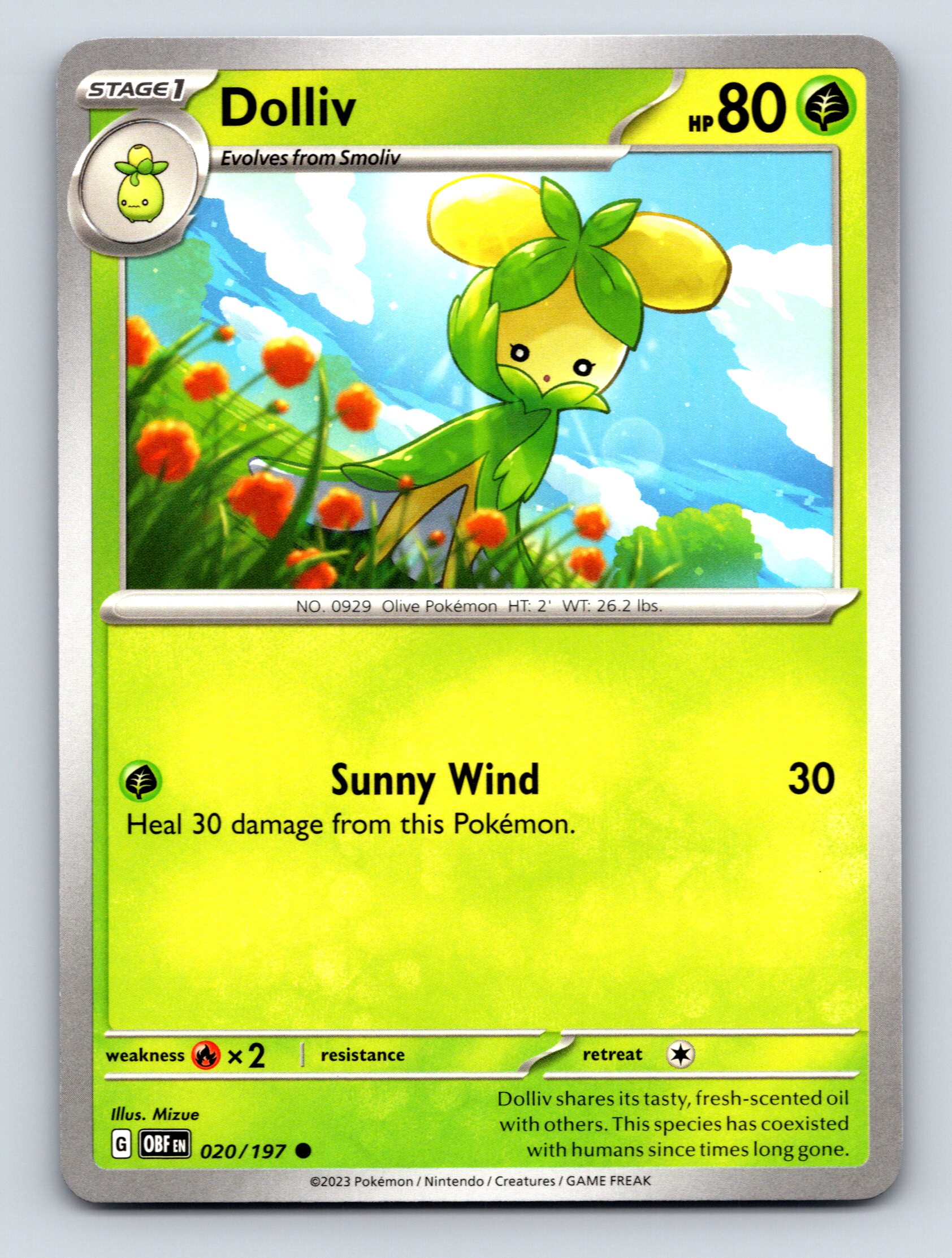 Stage 1 Dolliv HP 80 Sunny Wind Attack Rarity Green Colorful Pokémon | eBay