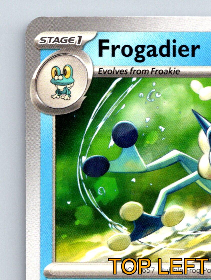 frogadier type