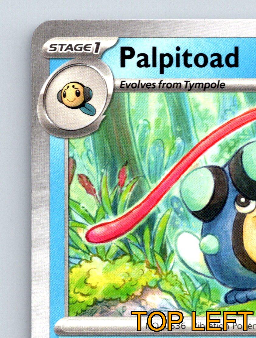 pokemon palpitoad stats