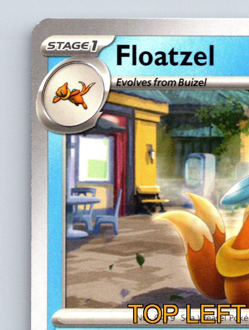 pokemon floatzel build