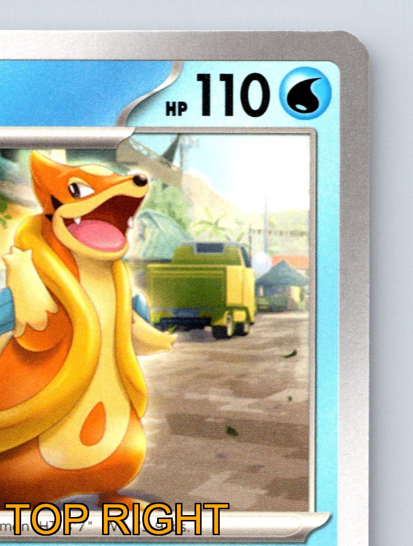 pokemon floatzel build